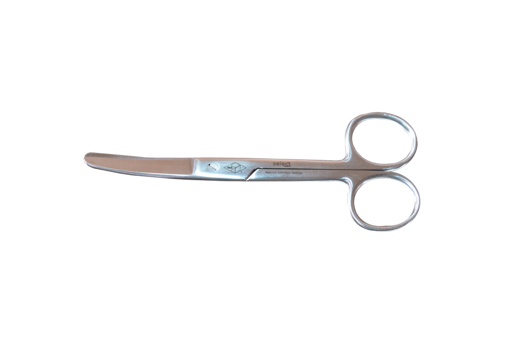 Blunt/Blunt Scissors - National Veterinary Services