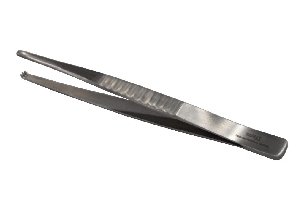 Treves Forceps - National Veterinary Services