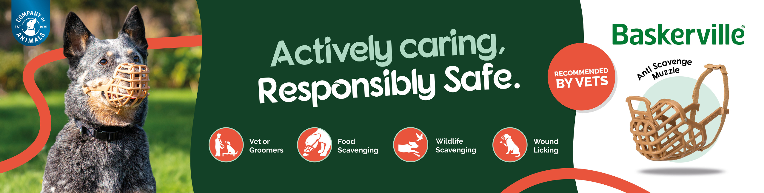 Home - National Veterinary Services