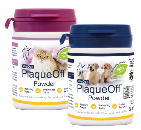 Pet Dental Health Month - National Veterinary Services