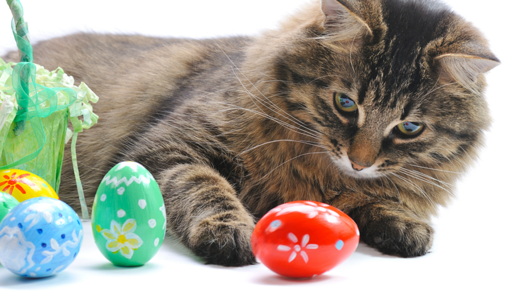 Easter Pet Poison Awareness - National Veterinary Services