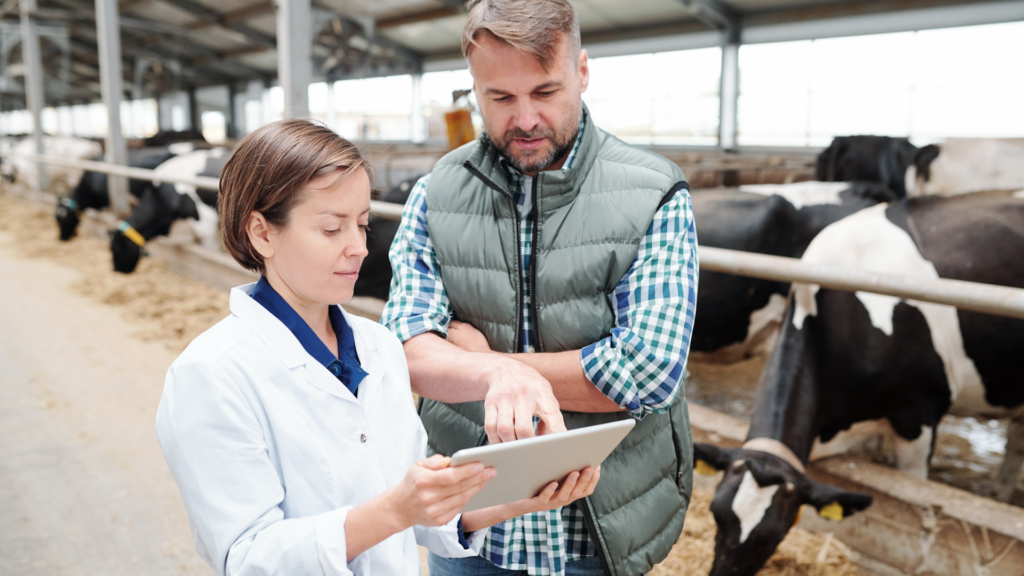 Why switching your PMS is worth it! (Part one) - Dispelling the Myths ...