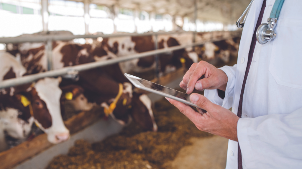 Why switching your PMS is worth it! (Part two) - The benefits of change ...