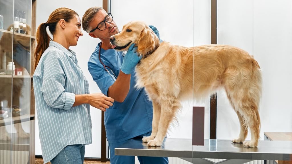 Seven effective strategies to demonstrate the value of your veterinary ...