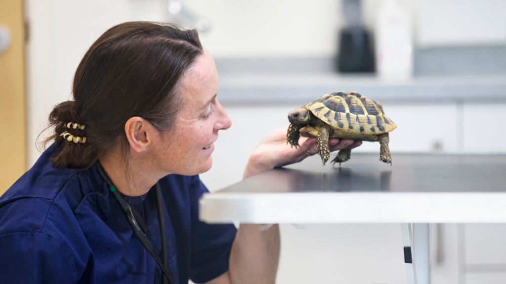 Dream Big with NVS Group: Support and resources for opening your new ...