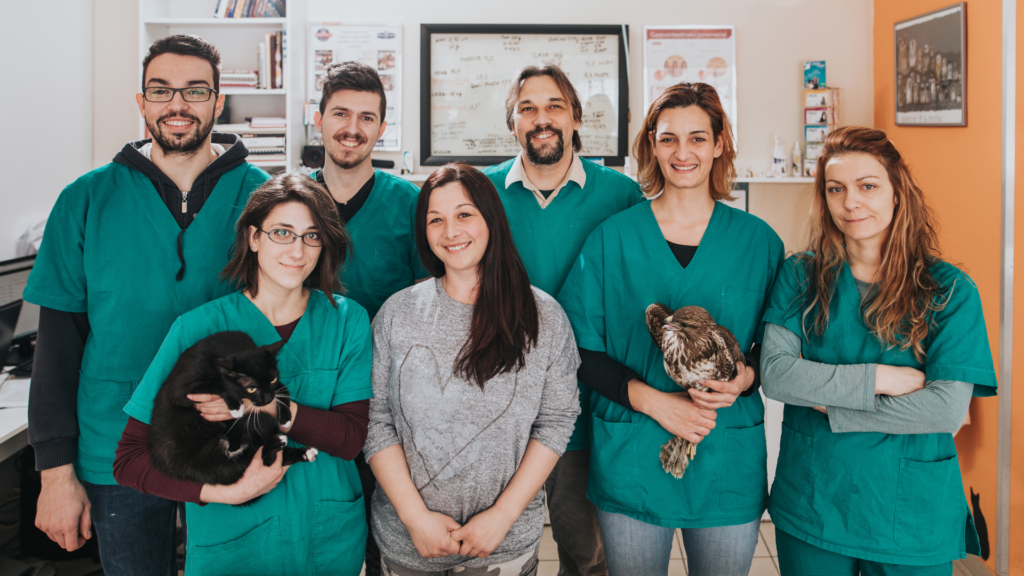 Creating a winning team for your new practice - National Veterinary ...