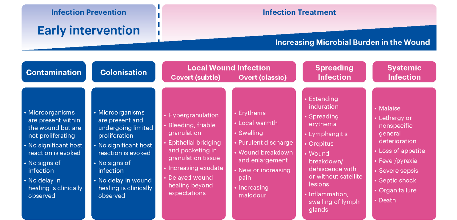 Infection prevention and treatment in wound care - National Veterinary ...