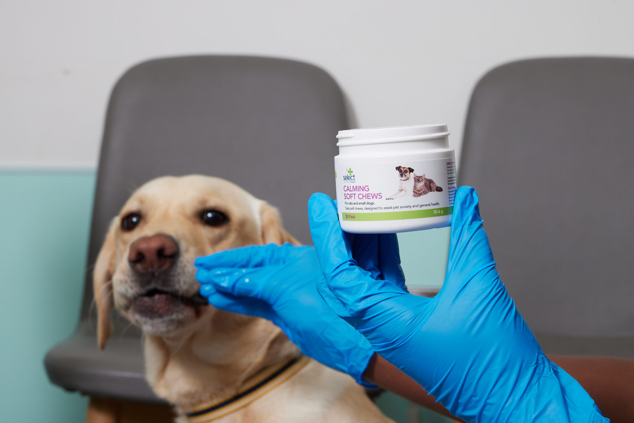 Is stress still a problem in the veterinary profession? - National ...