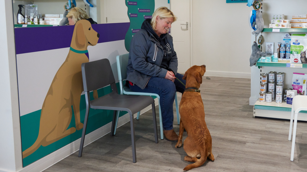 Data Analytics: Consumer buying behaviour - National Veterinary Services