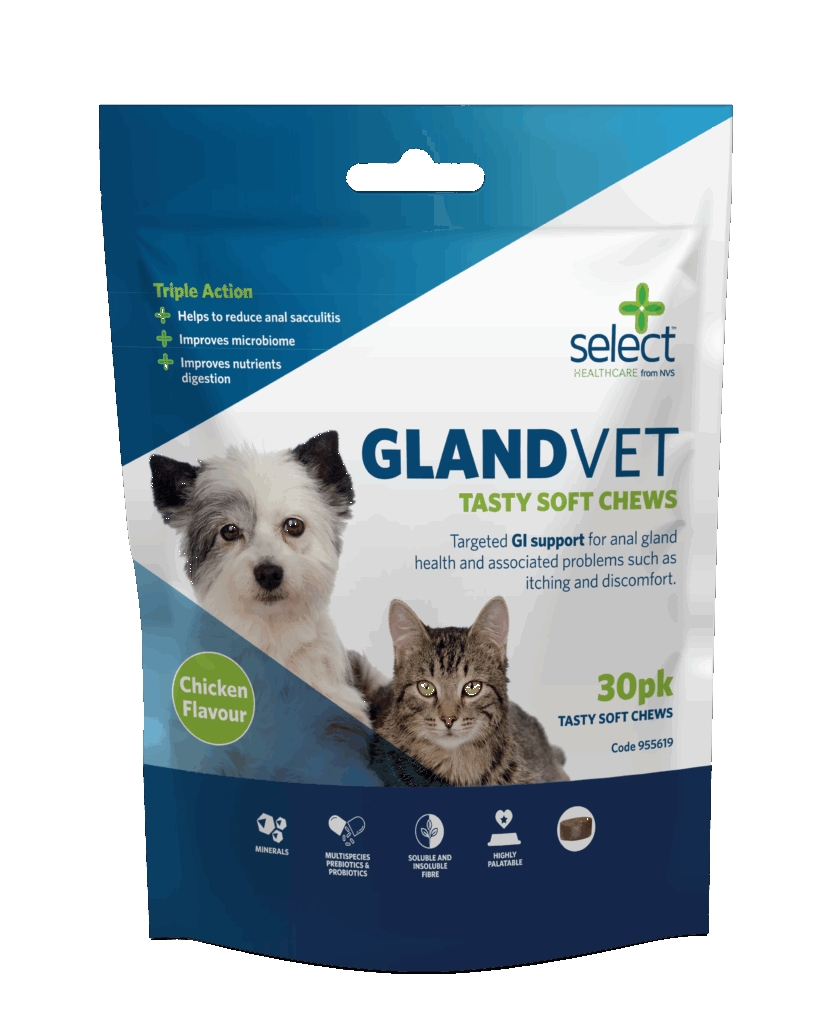 Targeted solutions for digestive health - National Veterinary Services
