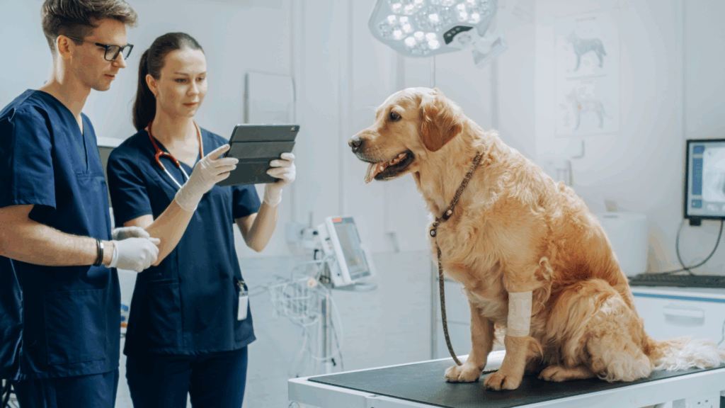 NVS Group | National Veterinary Services